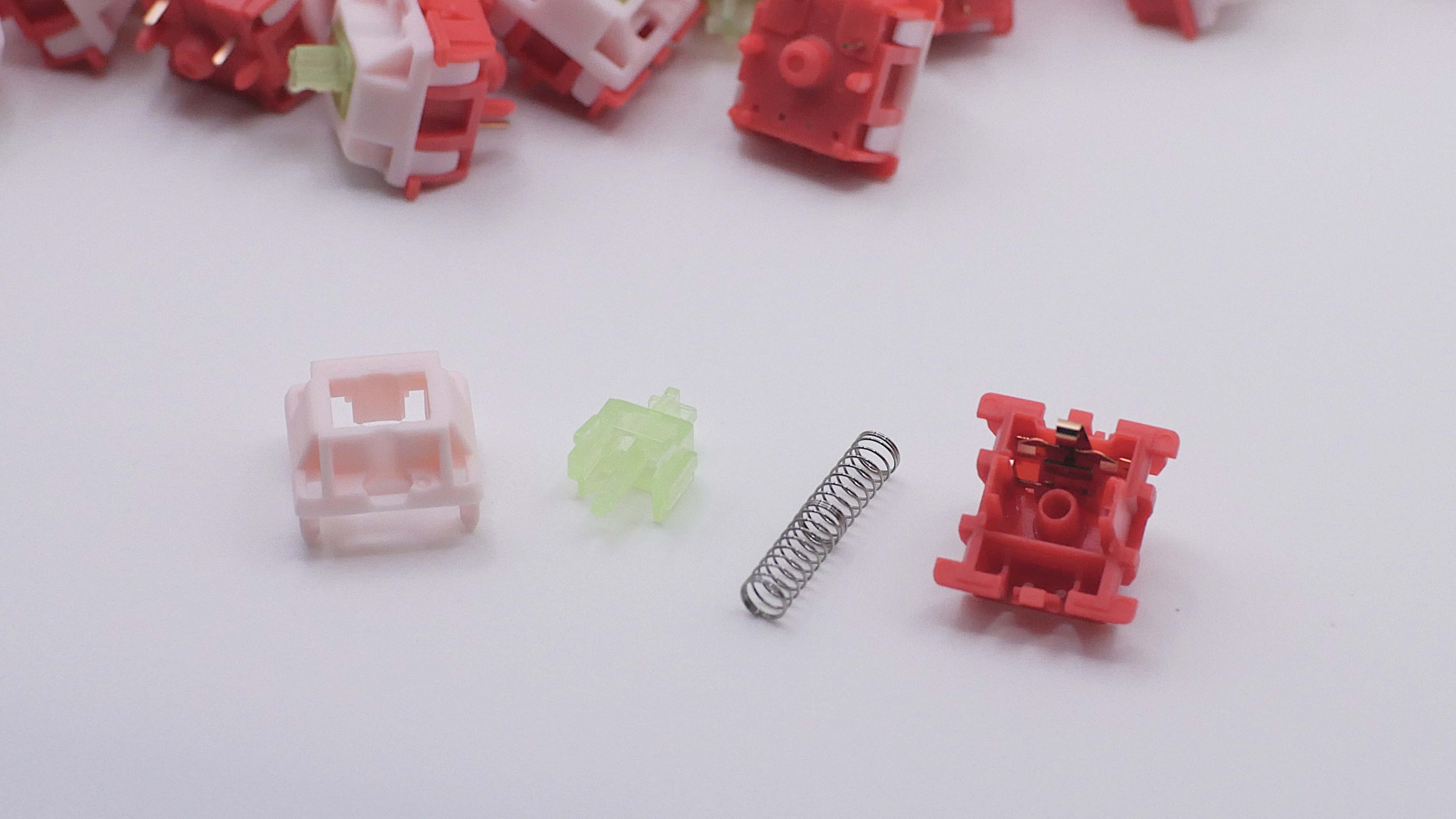 Gateron Summertime V2 Switches — RNDKBD